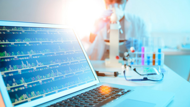 Multipleks PCR – na czym polega ta metoda badań DNA?